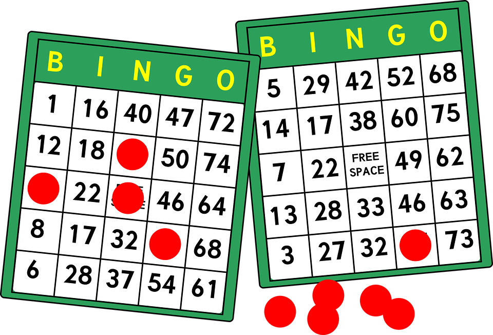 Bingo A Game With Many Ways To Win Scoop Byte